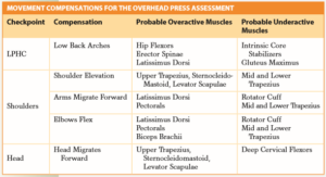 Standard Pulling and Pushing Assessment – Strong Links Fitness