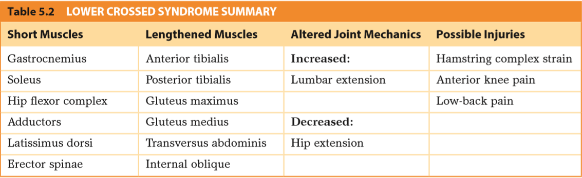 Static Posture Assessment – Strong Links Fitness